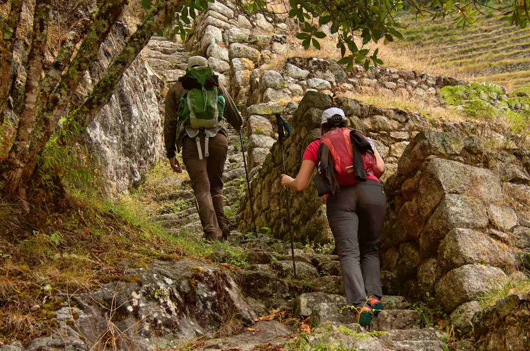 Inca Trail Peru: The Ultimate Guide To Hiking Machu Picchu